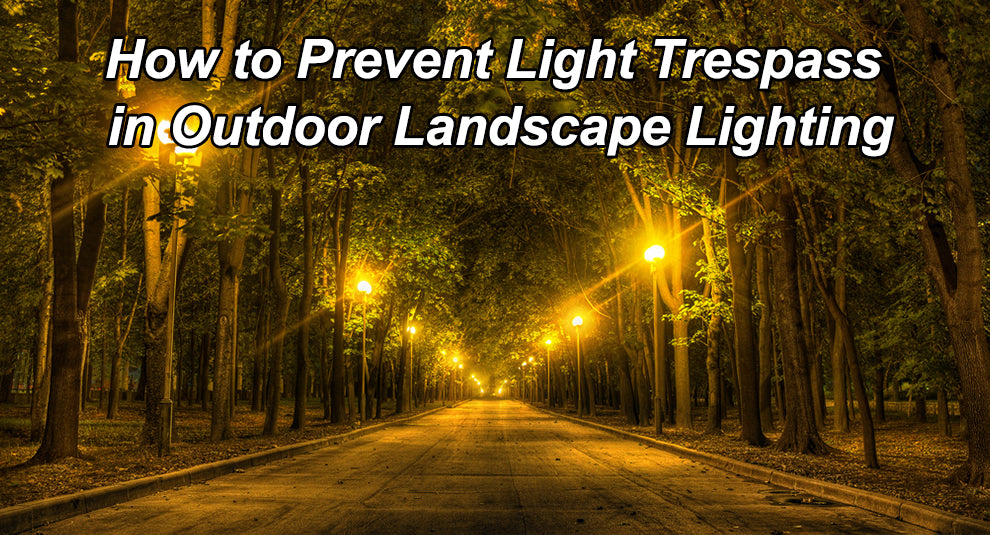 How to Prevent Light Trespass in Outdoor Landscape Lighting
