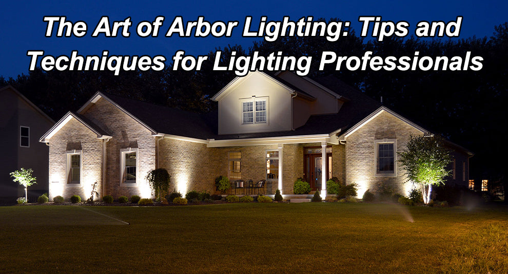The Art of Arbor Lighting: Tips and Techniques for Lighting Profession